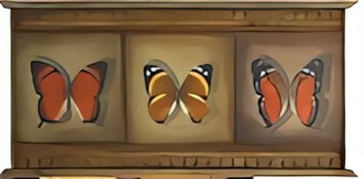 Tres mariposas – CittàD'arte